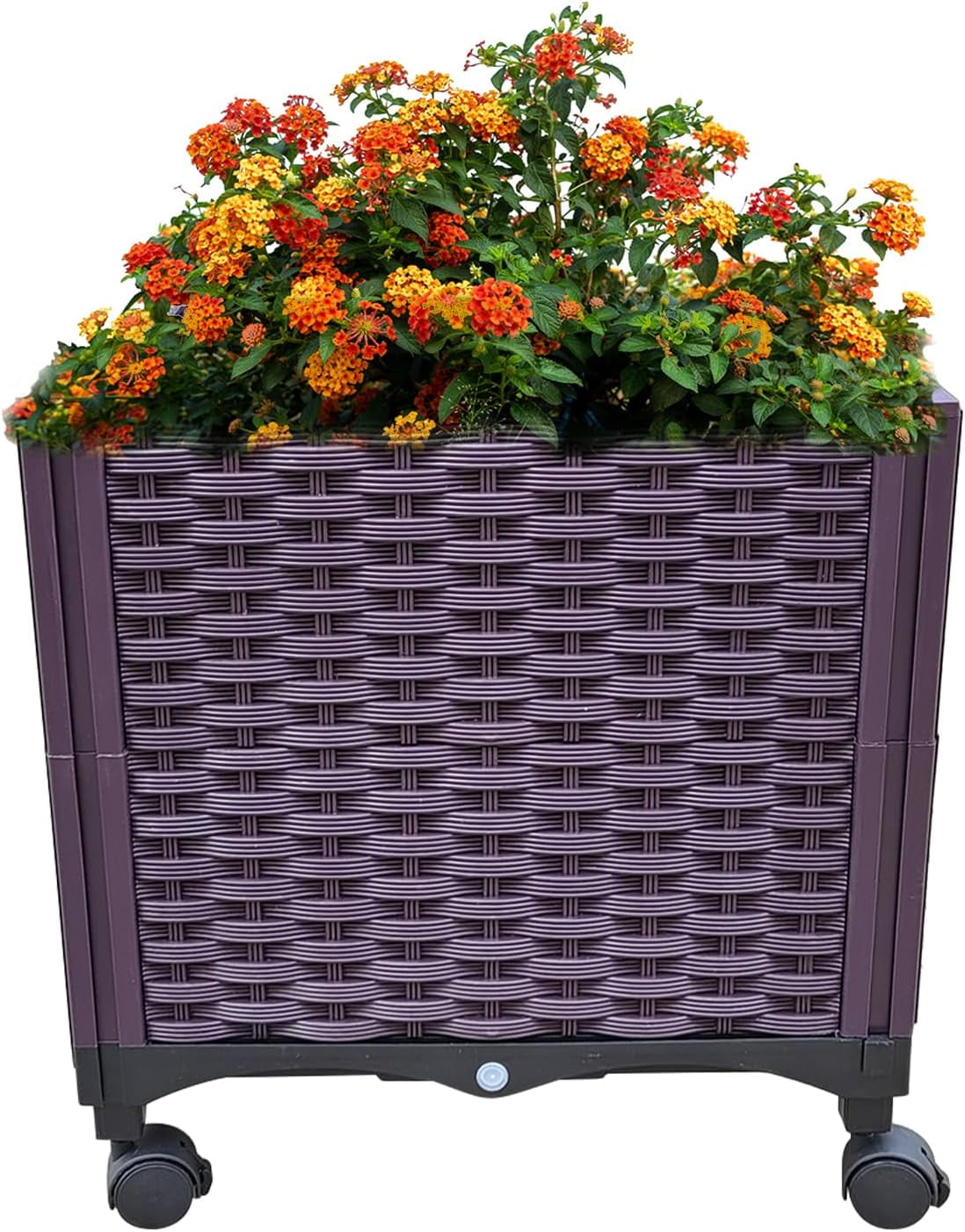 Doppy Plastic Rolling Raised Garden Bed,Deepen Planter Boxes with ...