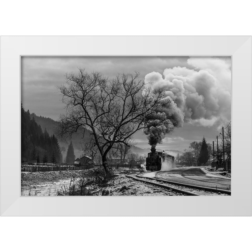 Dorin Lucian, Sveduneac 14x11 White Modern Wood Framed Museum Art Print ...