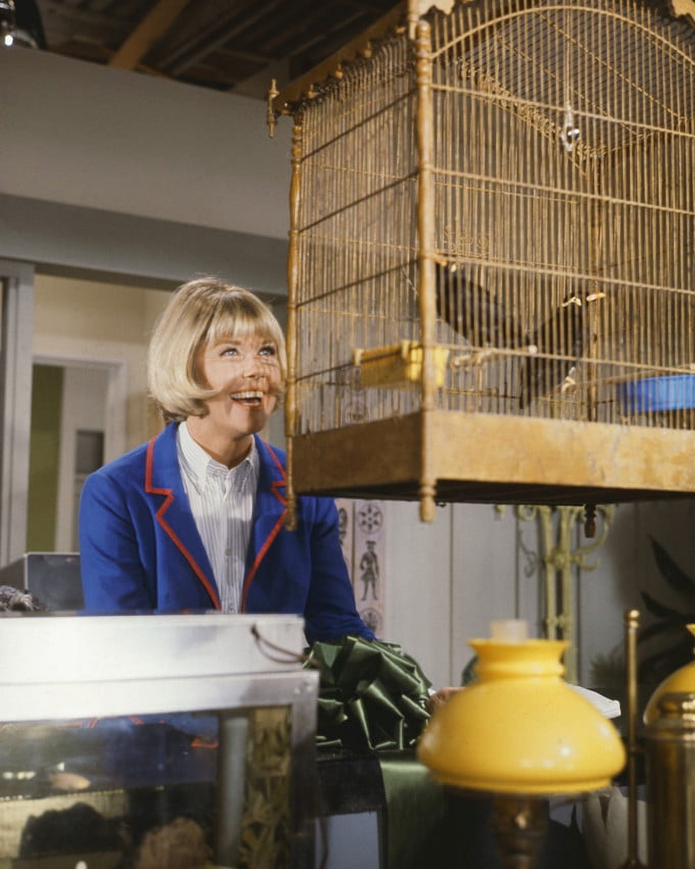 Doris Day Looking At Bird Cage 24X36 Classic Hollywood Poster - Walmart.com