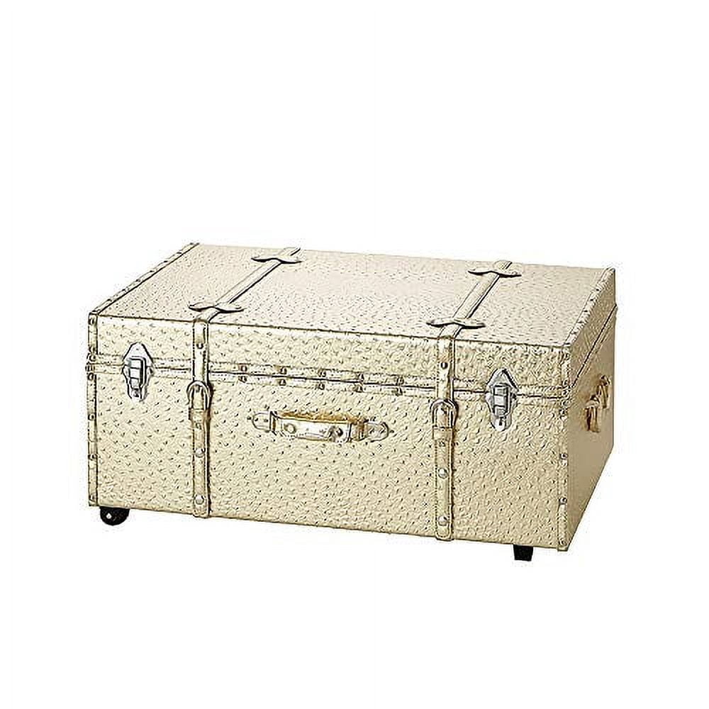DormCo Texture® Brand Trunk - Golden Ostrich - Walmart.com