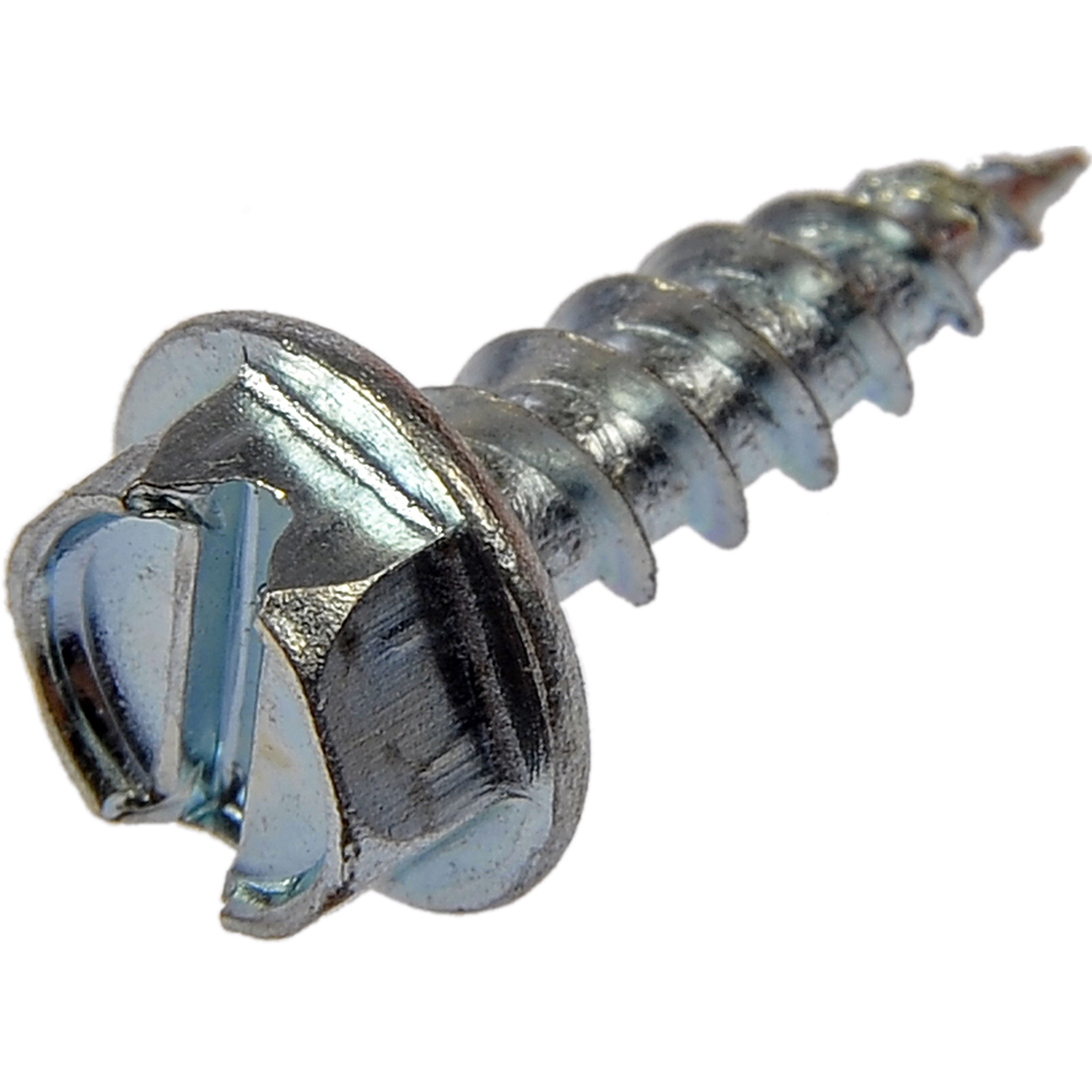 Dorman 365-185 Screw Chrome (Pack of 100) - Walmart.com