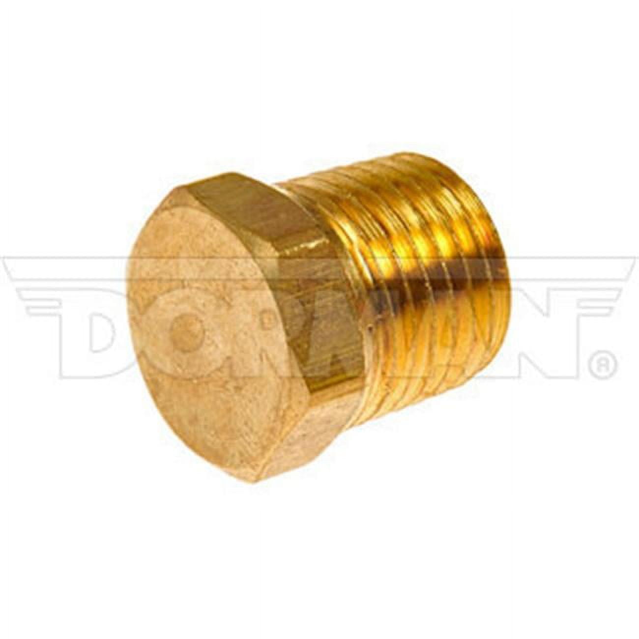 Dorman 785-422D Brass Pipe Plug - Hex Head - 1/4 In. MNPT for Specific ...