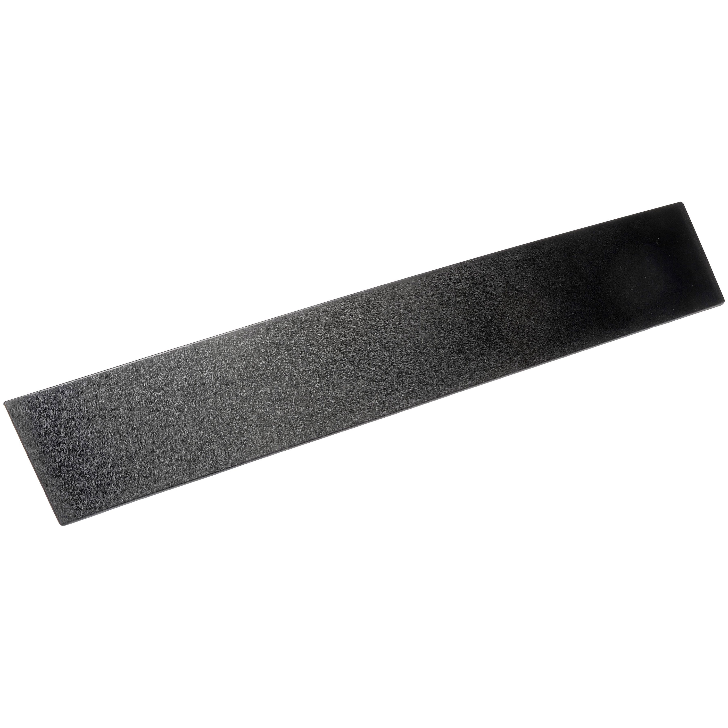 Chrysler Town Country Door Applique