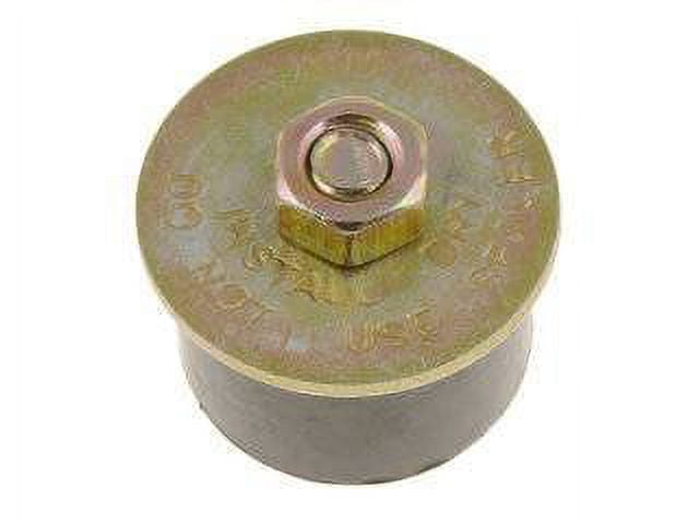 Dorman Help 02601 Exp Plug Rubber - Walmart.com