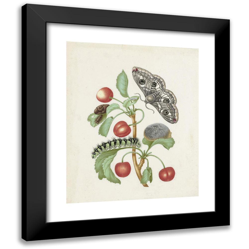Dorothea Maria Gsell 12x14 Black Modern Framed Museum Art Print Titled ...