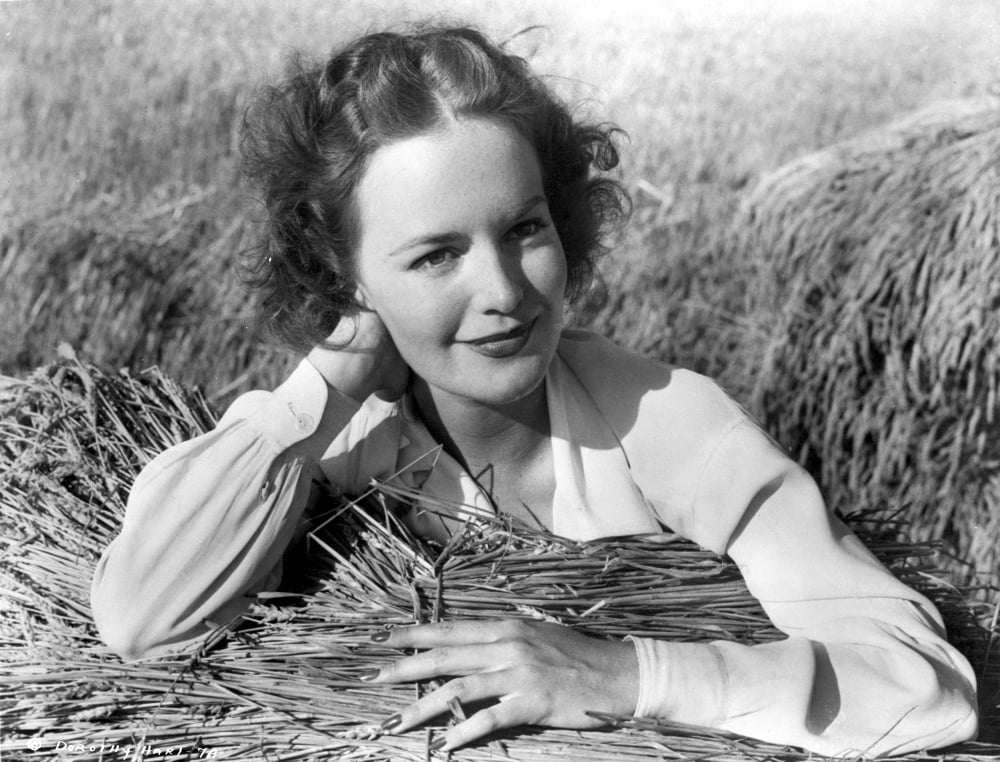 Dorothy Hart on a Long Sleeve Leaning on a Hay Photo Print (8 x 10 ...