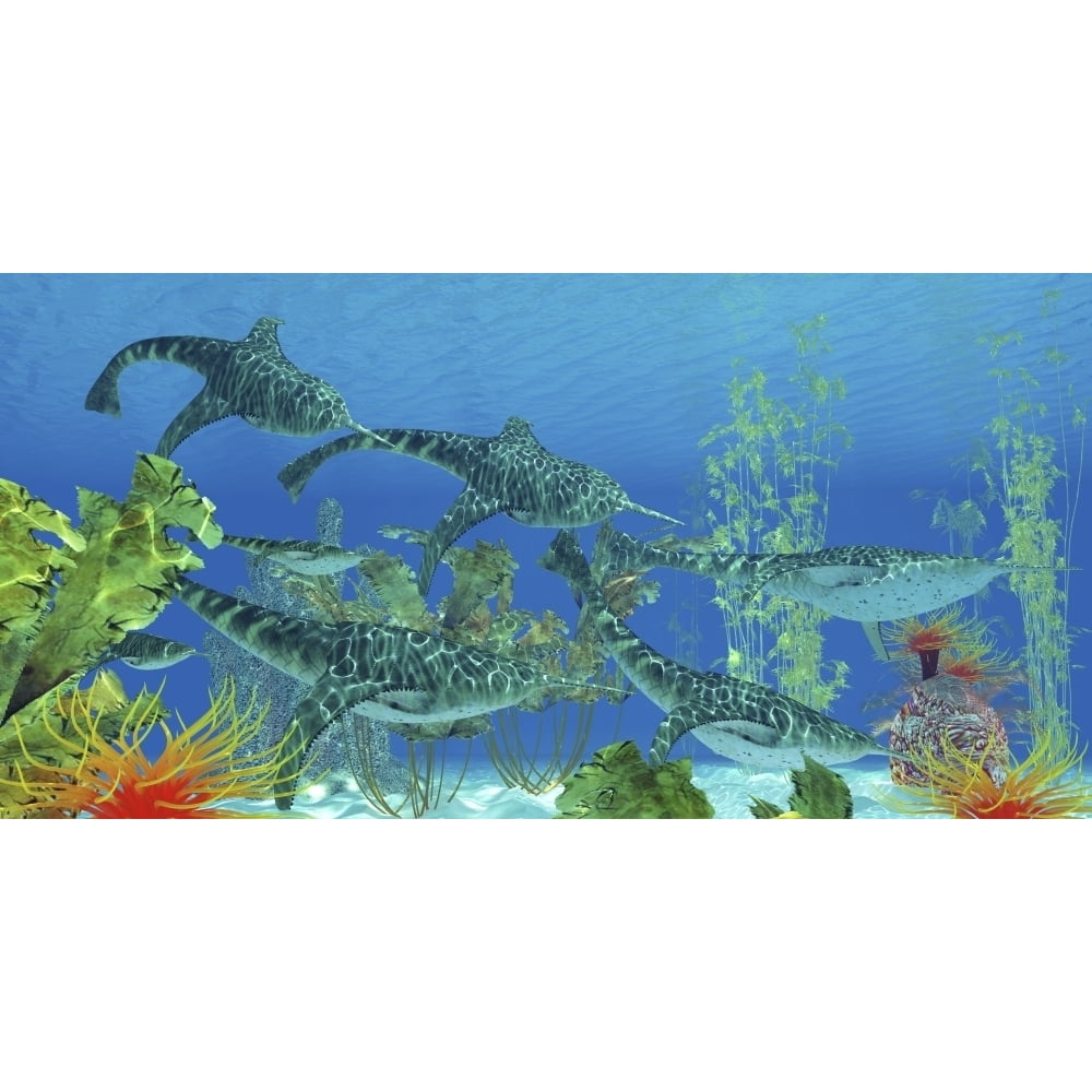 Doryaspis an extinct genus of primitive jawless fish from the Devonian ...