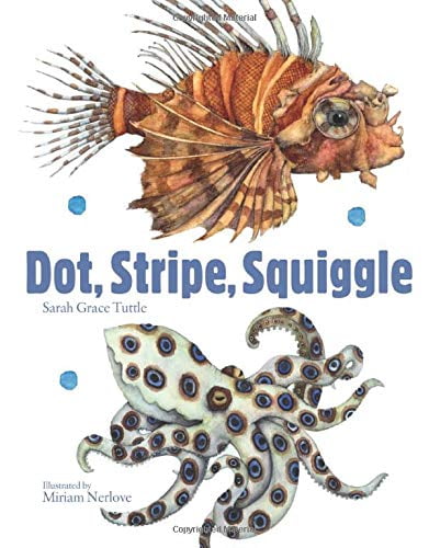 Pre-Owned Dot Stripe Squiggle (Board Book) - Walmart.com