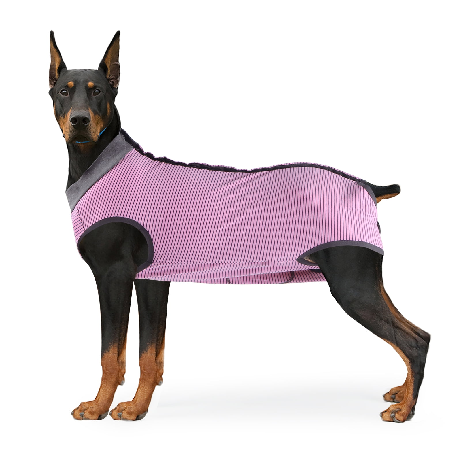 Dotoner Dog Recovery Suit, Pink, Post-Operative Wear, Abdominal ...