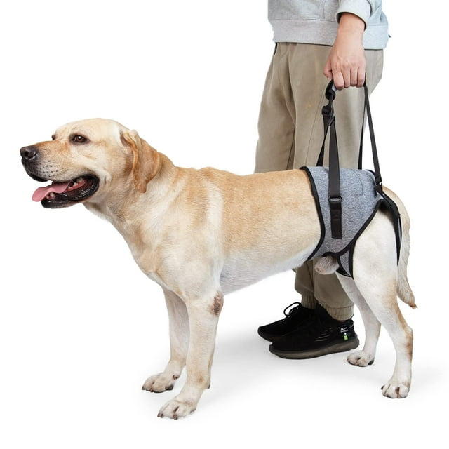 Dotoner Dog Sling for Large Dogs Hind Leg to Help Rehabilitate The Hind ...