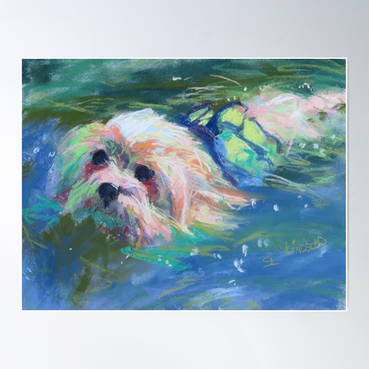 Dottie the poodle Swimming Poster, 12x18 UNFRAMED - Walmart.com