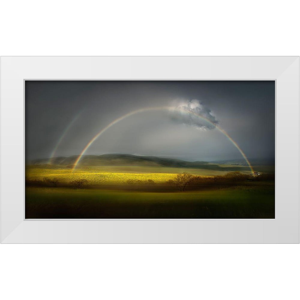 Dou, Shenshen 18x12 White Modern Wood Framed Museum Art Print Titled - The Spring Bliss ...