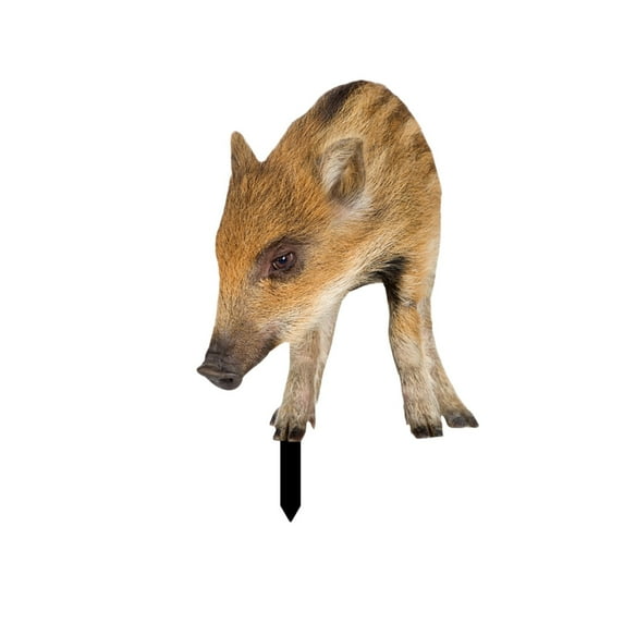 Double Acrylic Poultry Animal Decorative Cards for Courtyard Garden ...