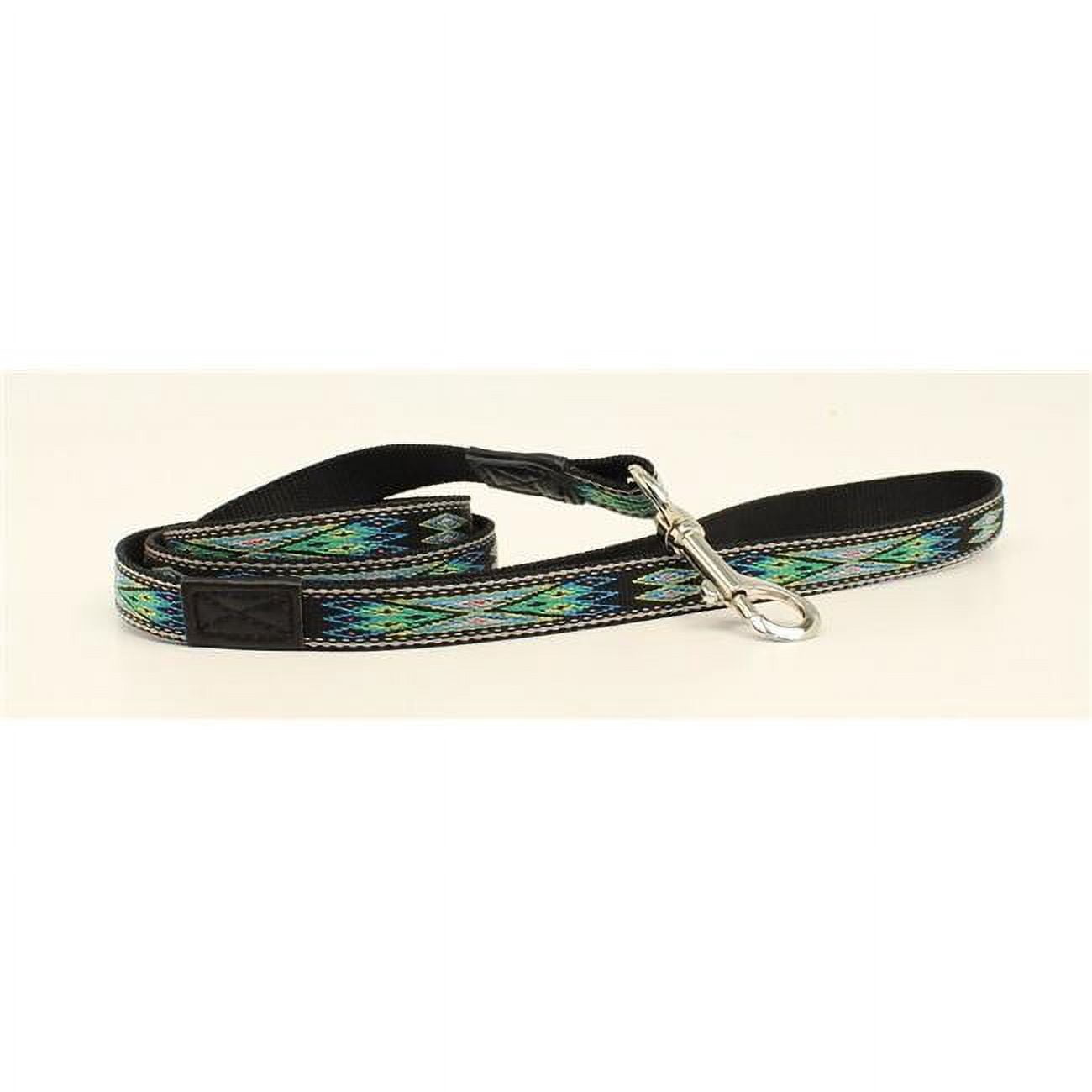 Double Barrel 9381801 Woven Ribbon Dog Leash, Black & Teal - Walmart.com