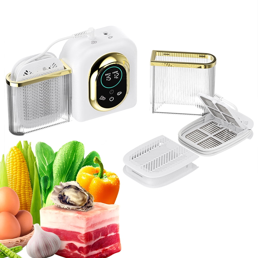 Double Chamber Fruit and Vegetable Wash for Purifying Pesticide Residue ...