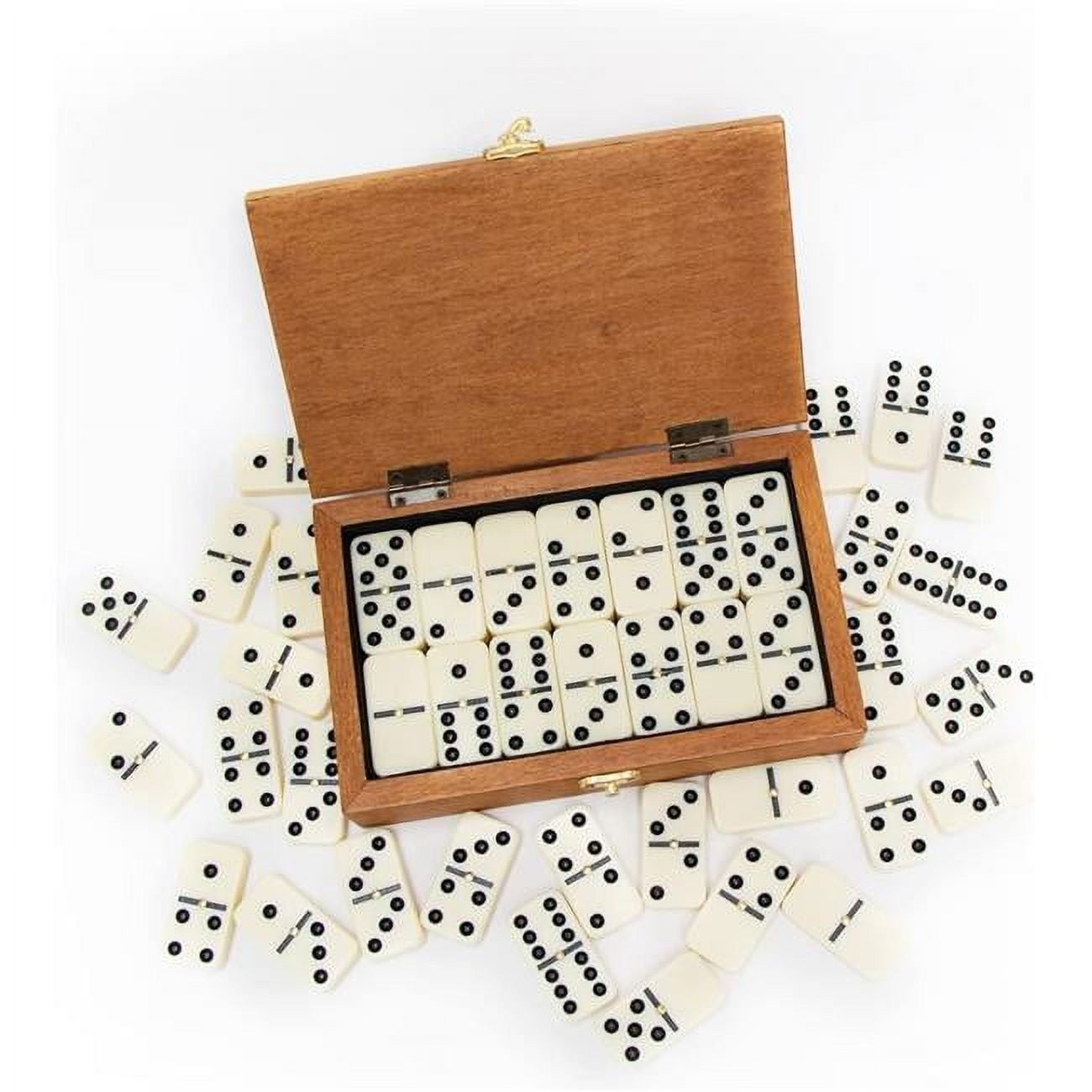 Double Domino Match & Educational Game Set - Walmart.com