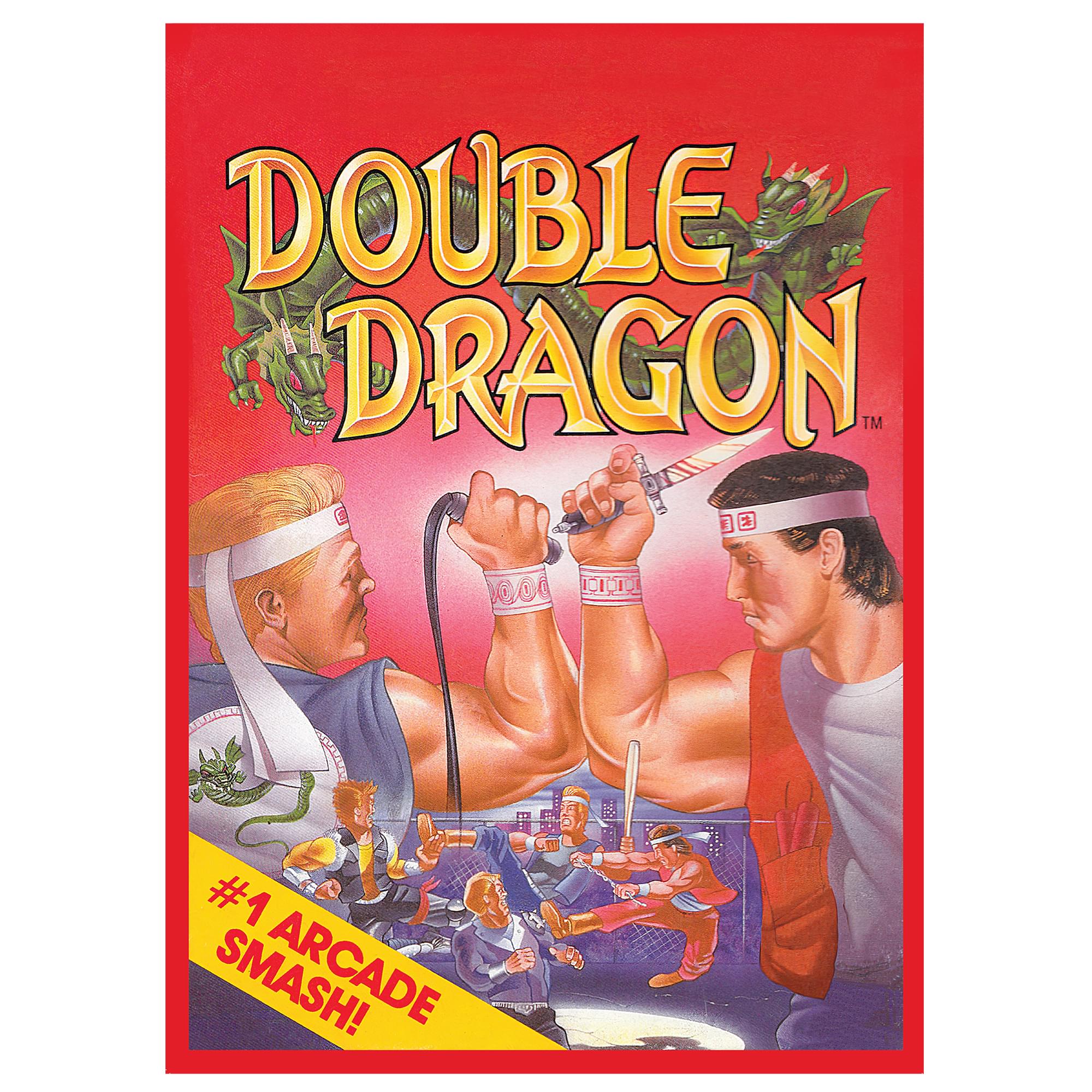Double Dragon NES Cartridge 1000-Piece Jigsaw Puzzle | Toynk Exclusive ...