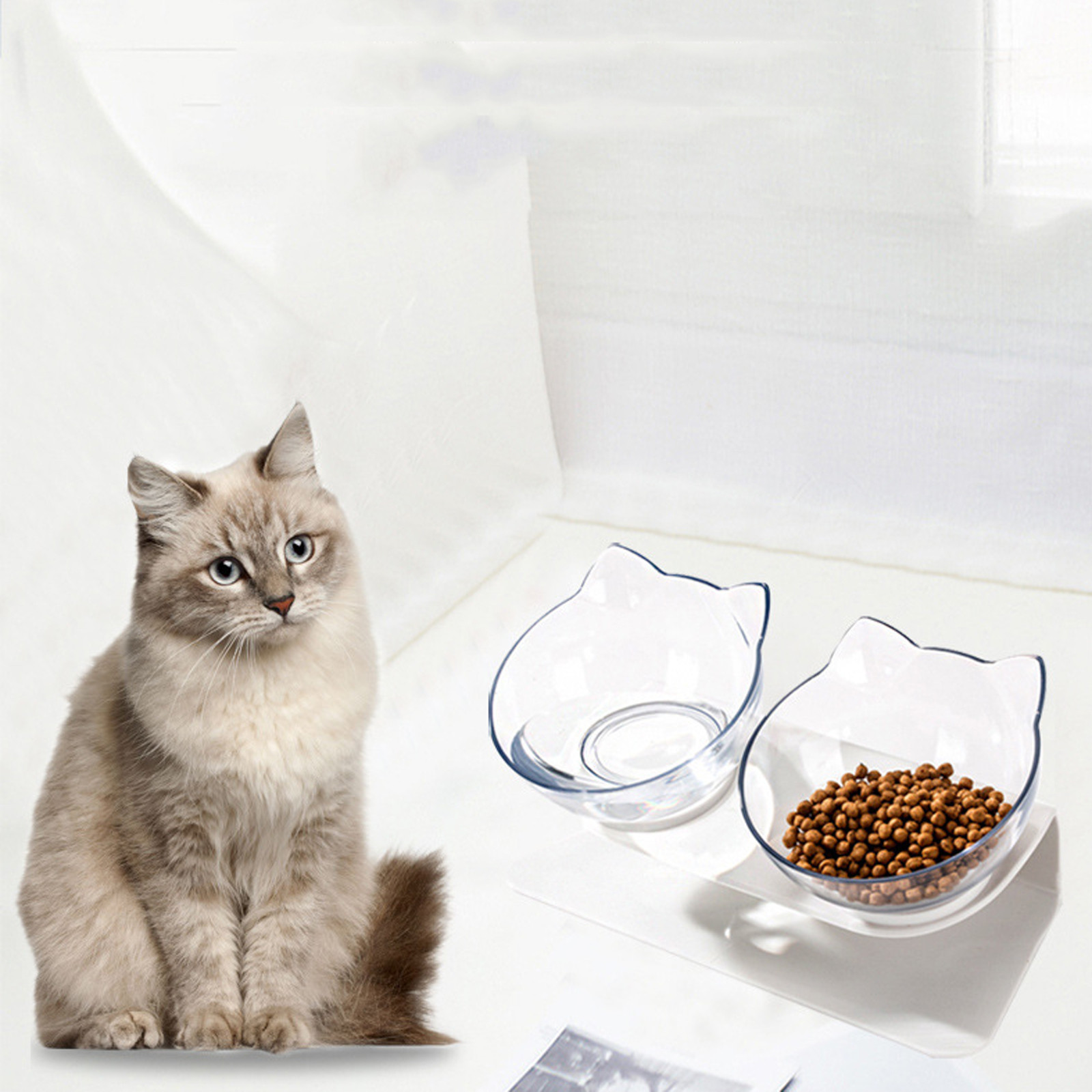 Double Elevated Cat Bowls with Raised Stand – 15° Tilted Cat Feeding ...