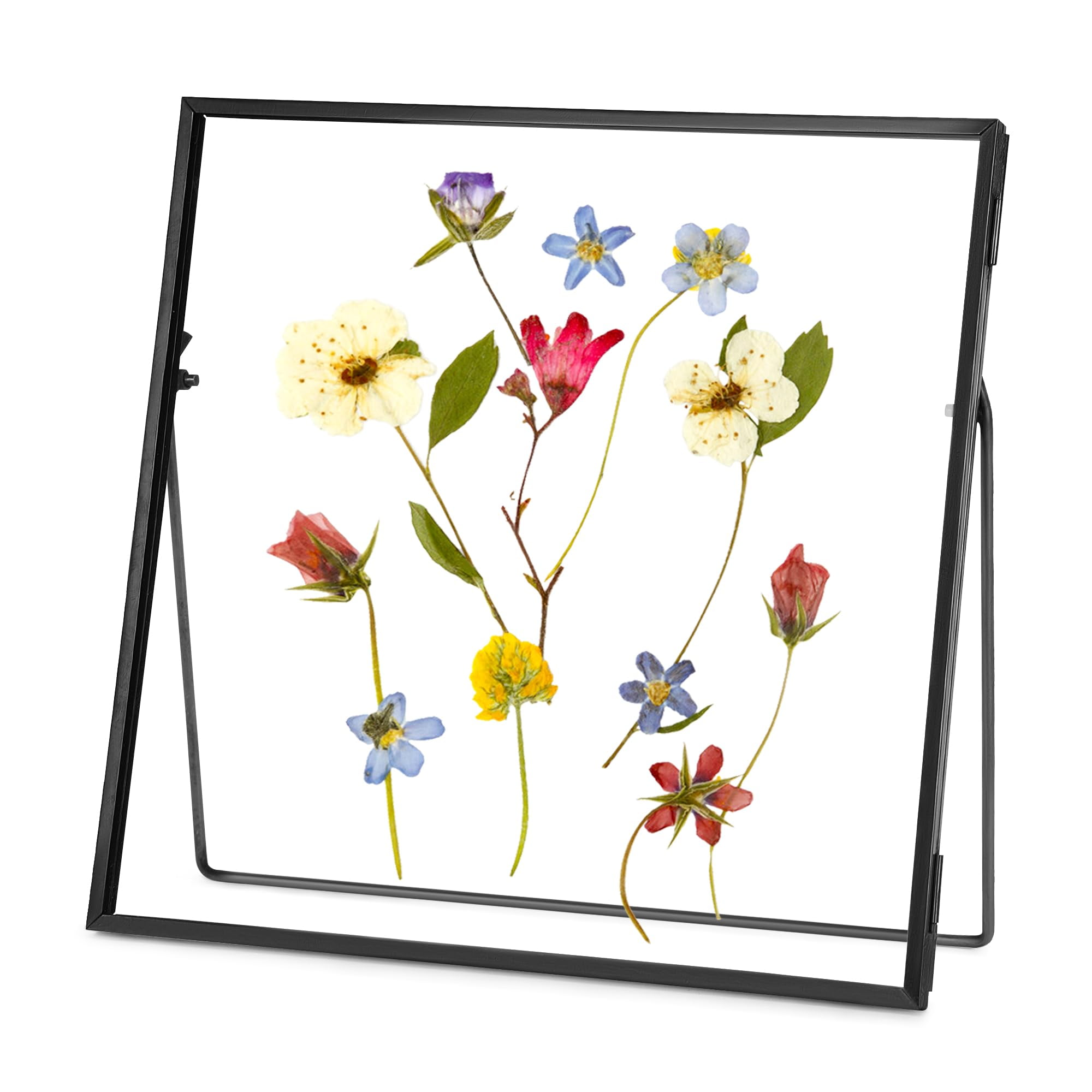 Double Glass Frame for Pressed Flowers Handmade, Floating Picture ...