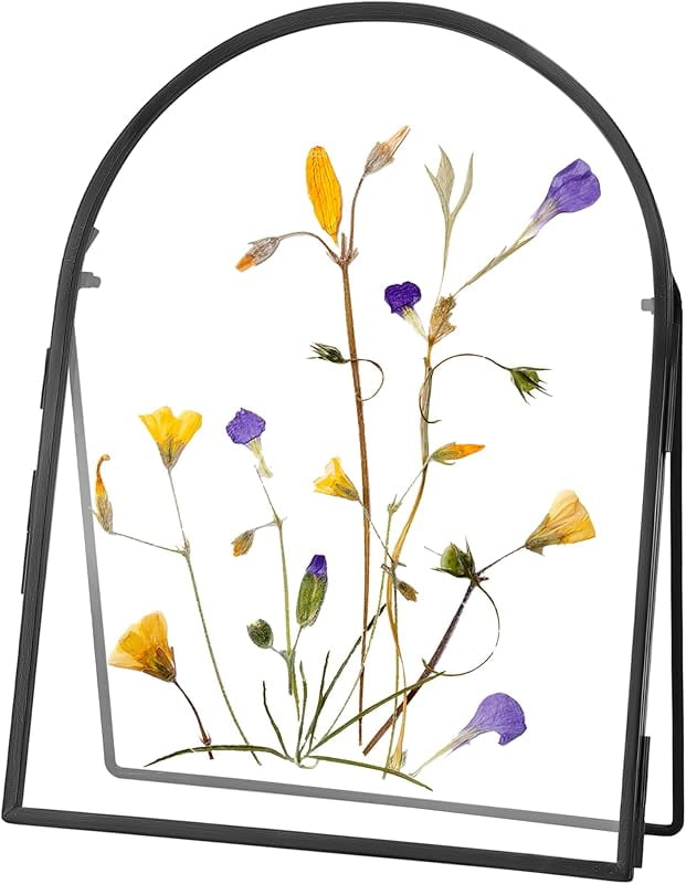 Double Glass Frame for Pressed Flowers Handmade, Metal Floating Picture ...