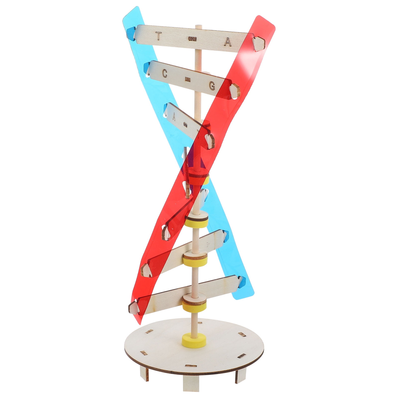 Double Helix DNA Model Science Teaching Aids Children Science Teaching ...