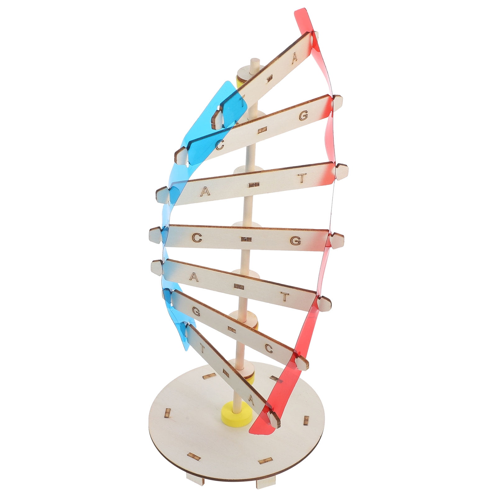Double Helix DNA Model Science Teaching Aids Children Science Teaching ...