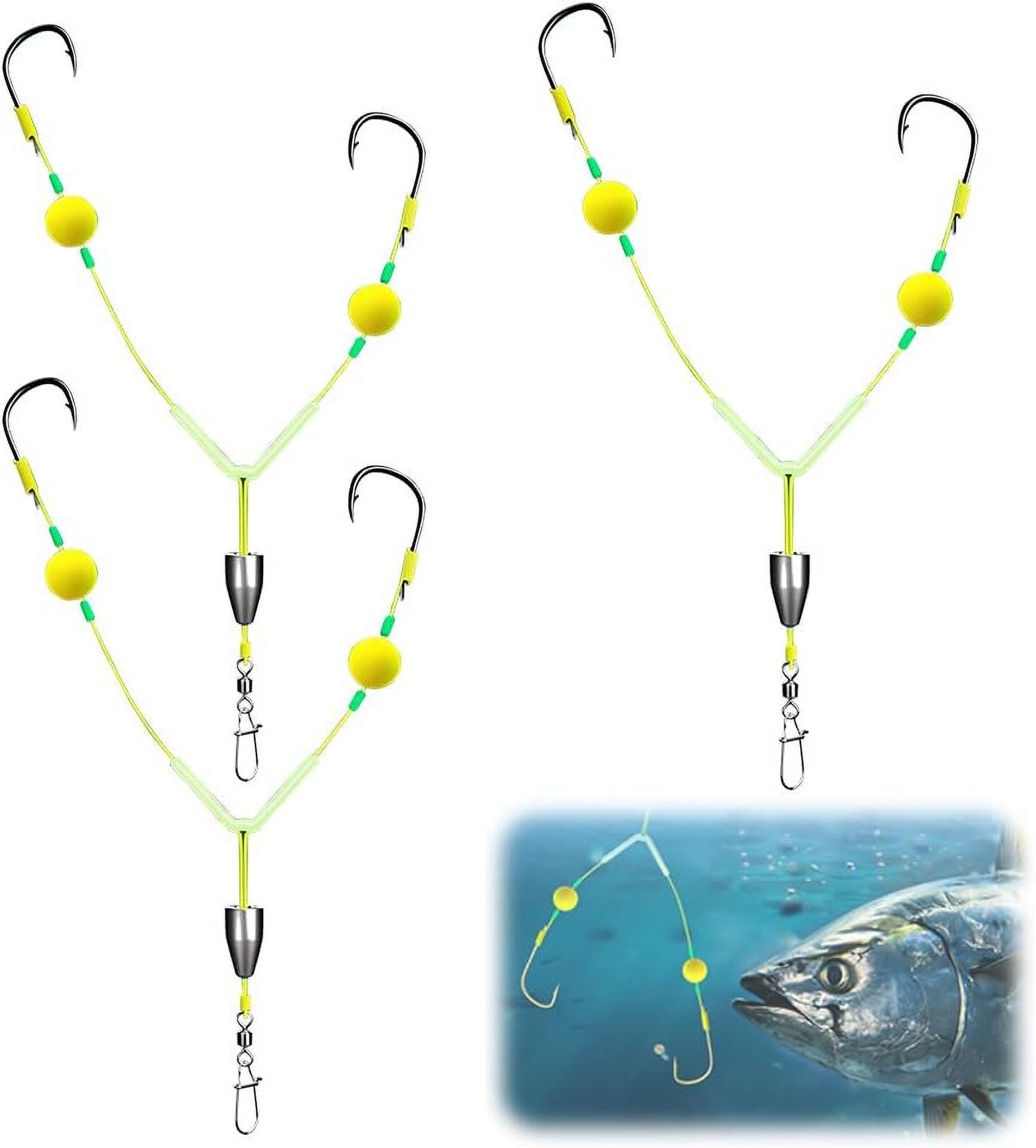 Double-Hook Reverse Bottom Rig, 2025 Upgrade Double Reverse Hooks Set ...