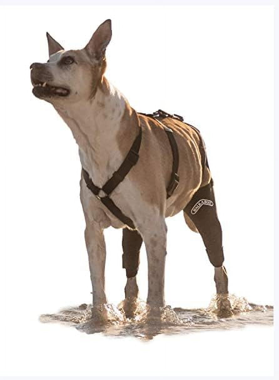 Double Knee Brace and Chest Harness (Small Brace Med Chest Harness ...