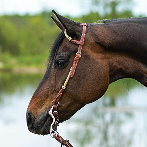 Double S Harness Leather Two Ear Headstall with Rawhide | Durable Horse ...