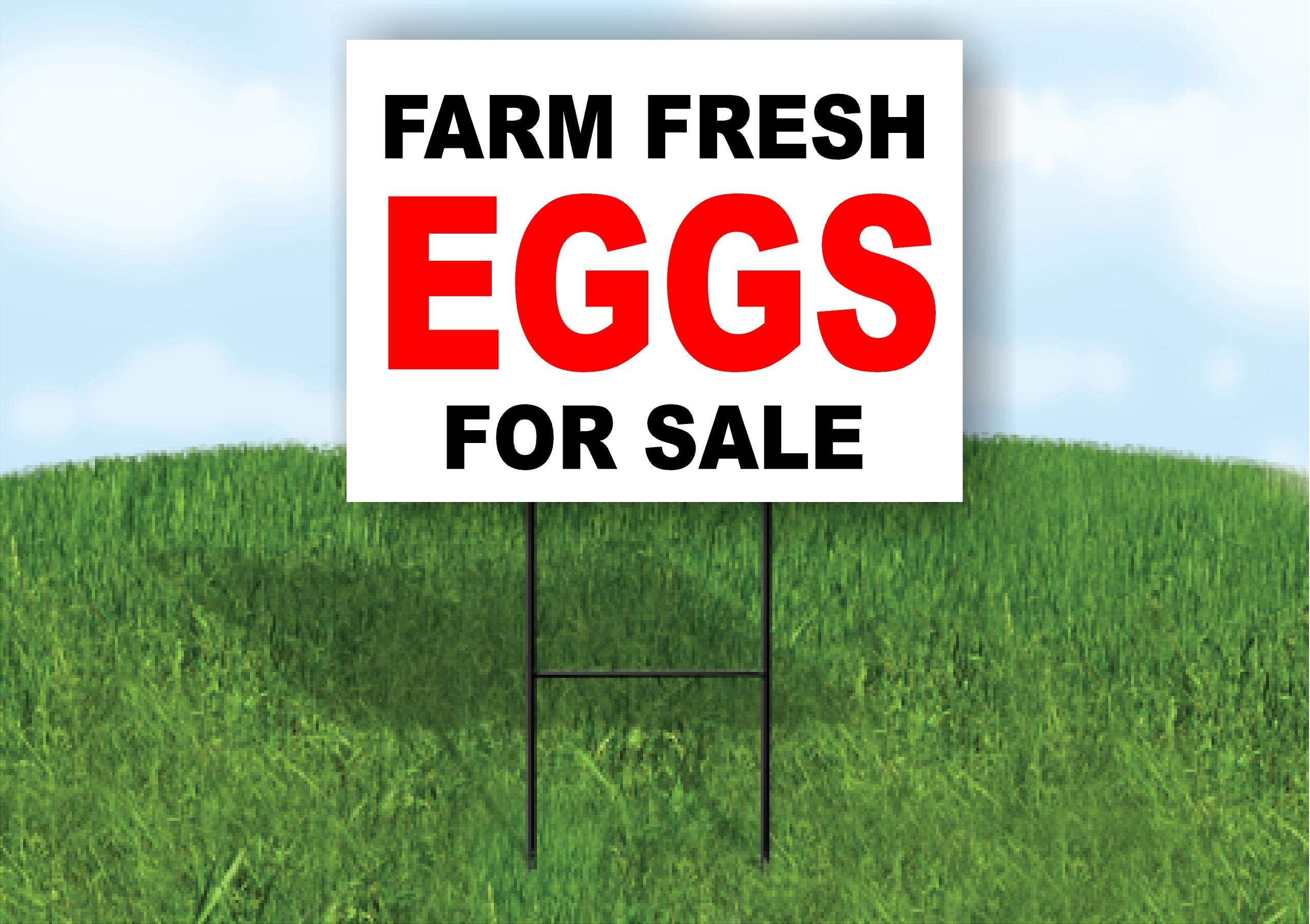 Double Sided FARM FRESH EGGS FOR SALE Plastic Yard Sign ROAD SIGN with Stand - Walmart.com