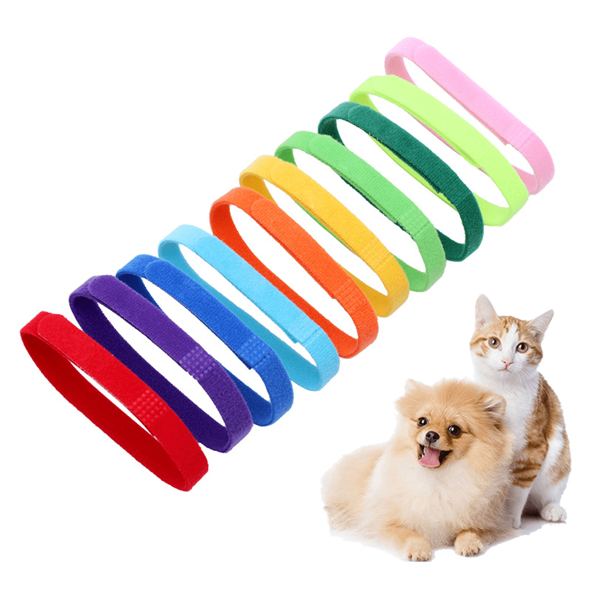 Double-Sided ID Bands for Newborn Dogs & Cats - Perfect for Whelping ...