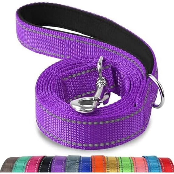 Double-Sided Reflective Dog Leash, 4 FT, Padded Handle Nylon Heavy Duty ...