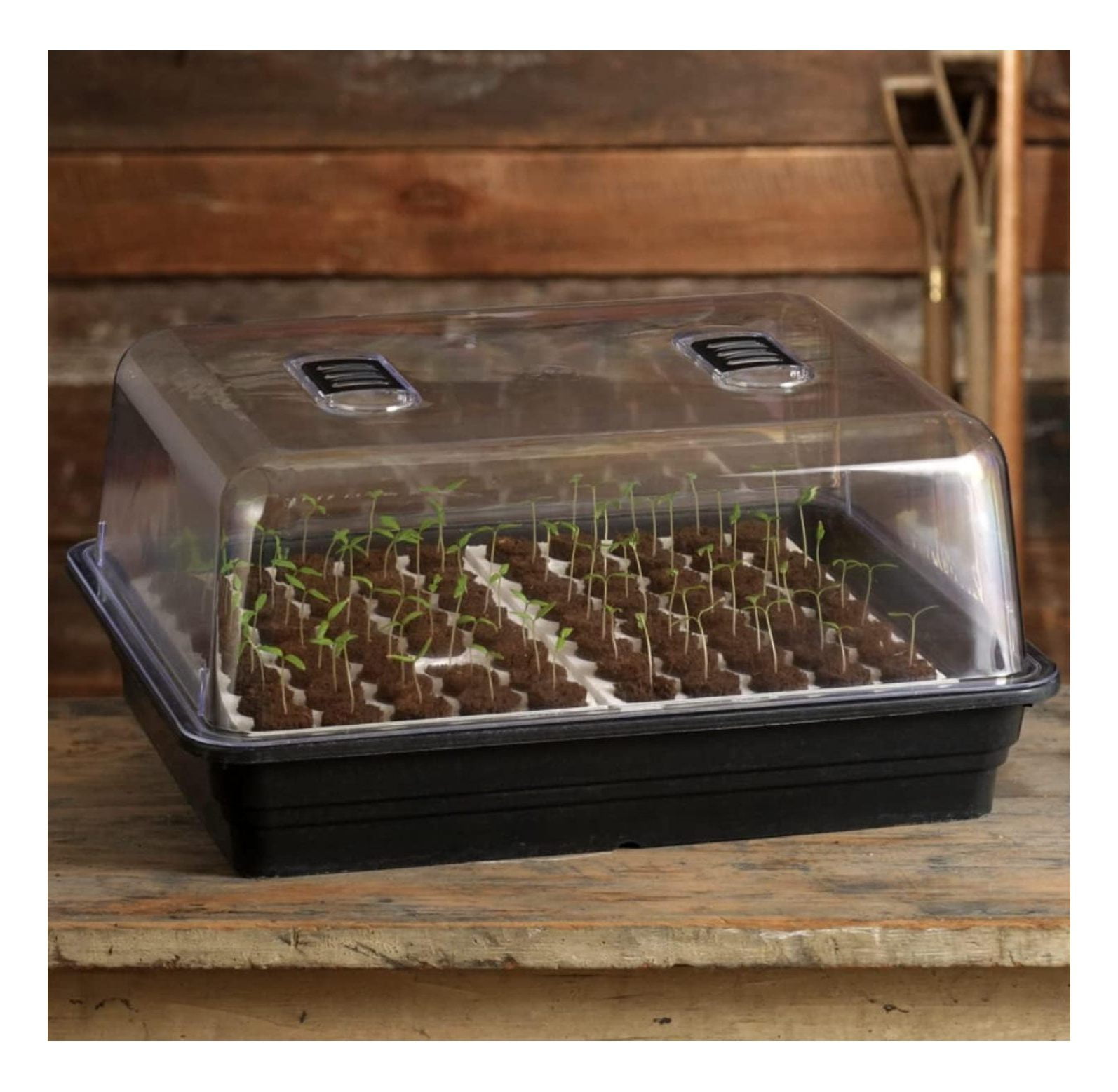 Double-Sized Dome Seed Starter Kit with Two 40 Jumbo Cell Planting ...