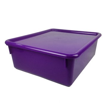 Small Cubby Bin with Cover Purple Classroom - 2 Each - Walmart.com
