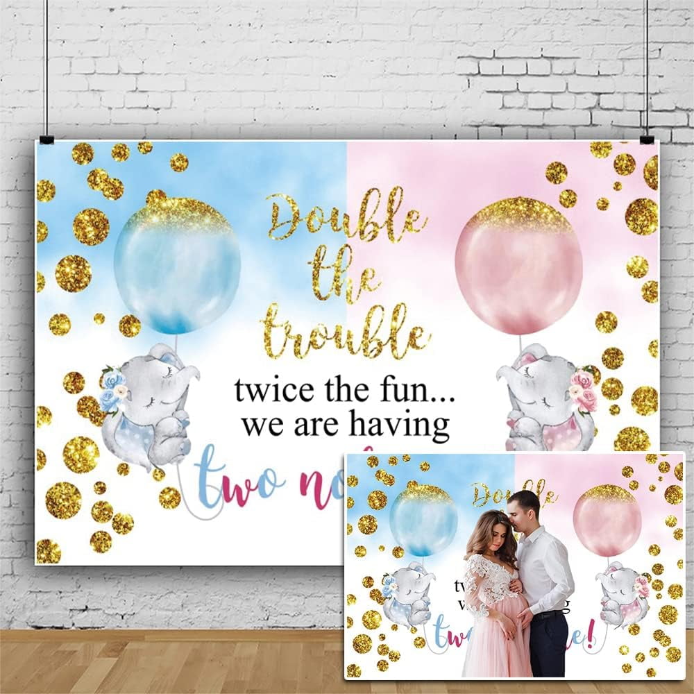 Double The Trouble Twice The Fun We are Having Baby Shower Backdrop ...