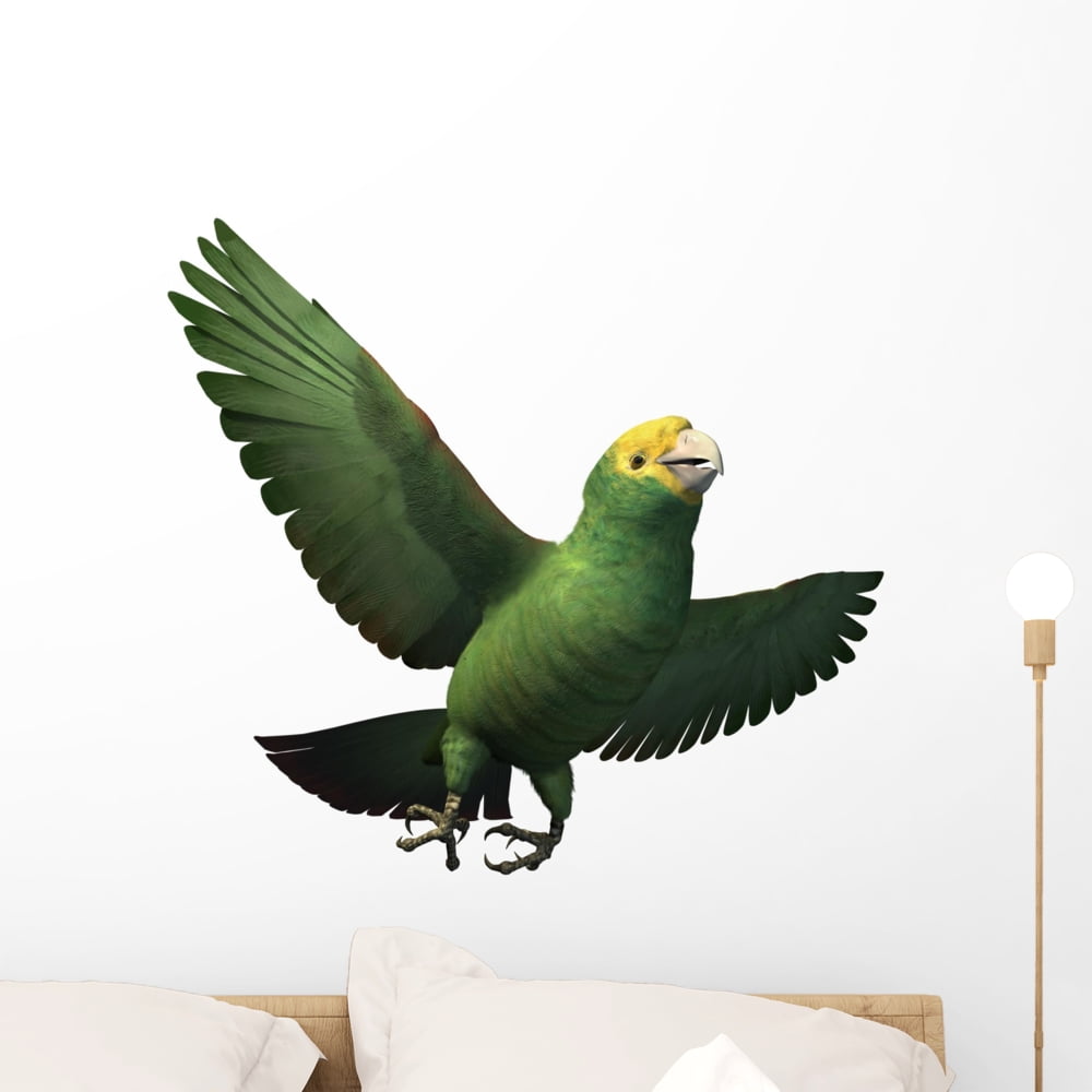 Double Yellow-headed Amazon Parrot Wall Decal Sticker, Wallmonkeys Peel ...