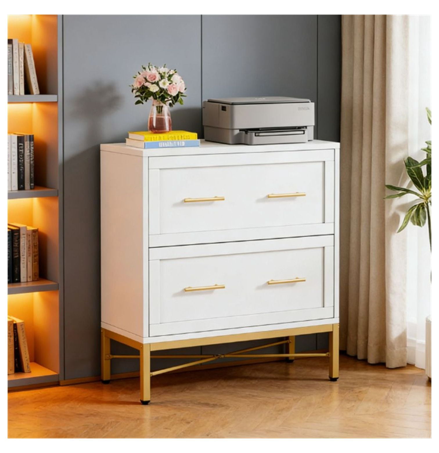 Double drawer filming cabinet, storage cabinet, printer stand for ...