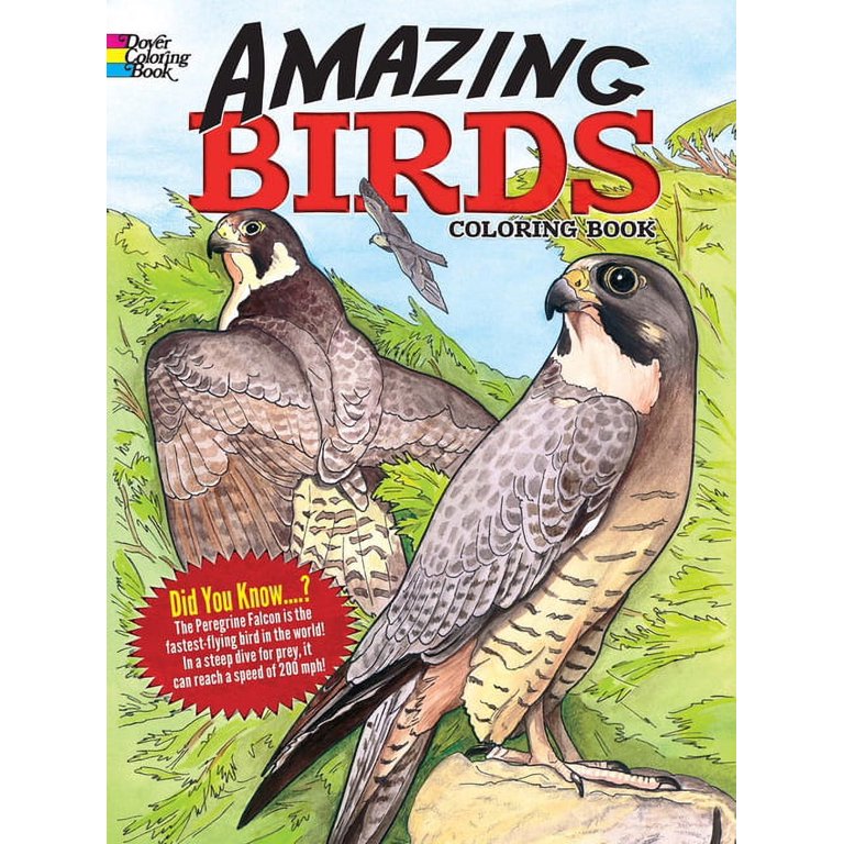 bird of prey coloring book