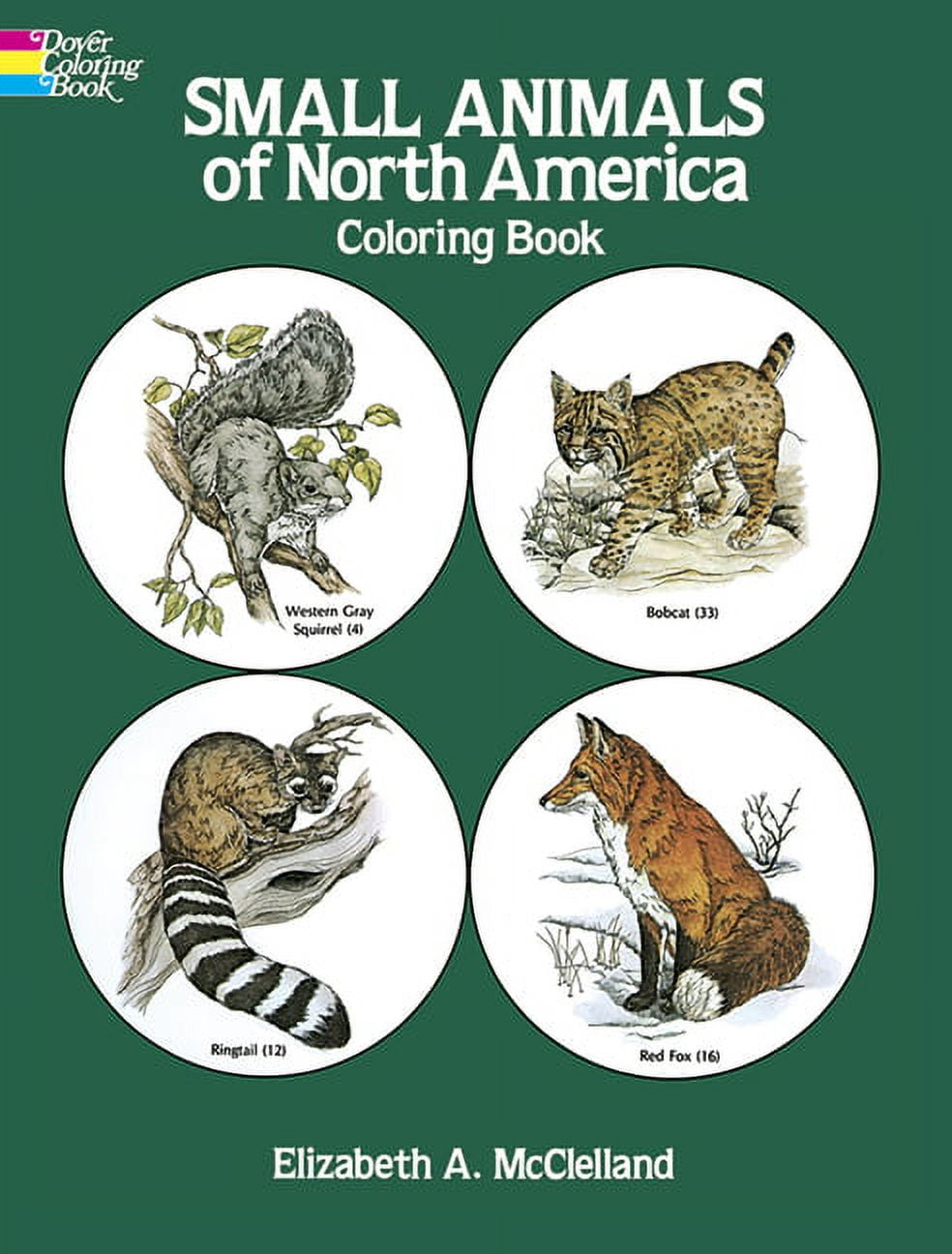 Dover Animal Coloring Books Small Animals of North America Coloring ...