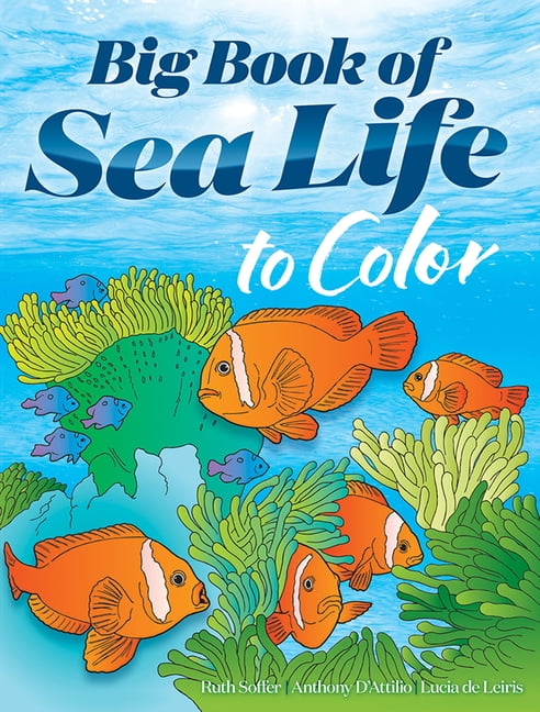 Dover Sea Life Coloring Books: Big Book of Sea Life to Color (Paperback ...