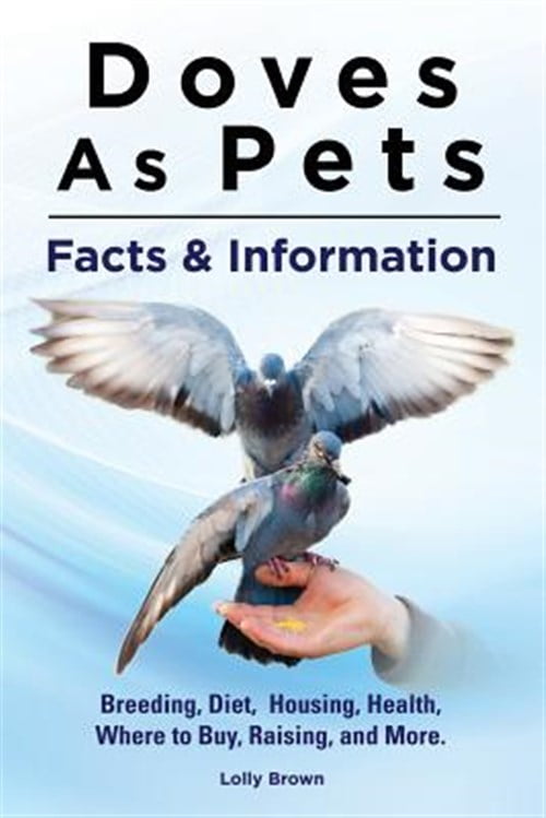 Pre-Owned Doves as Pets: Breeding, Diet, Housing, Health, Where to Buy ...