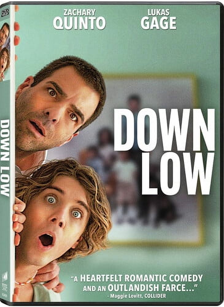 Down Low (DVD), Sony, Comedy - Walmart.com
