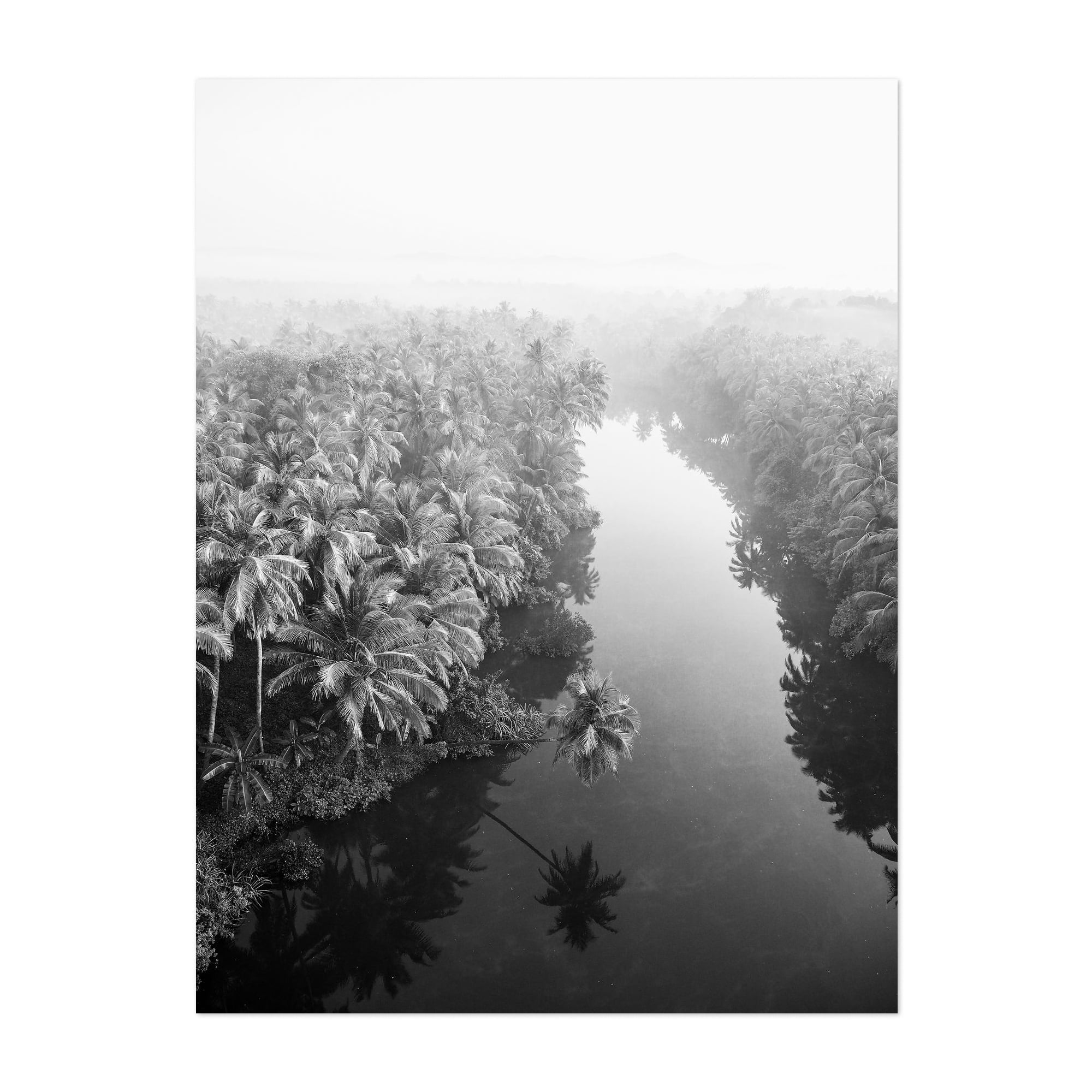 Down in Goa - Goa India Photography Black and White Tropical Nature ...