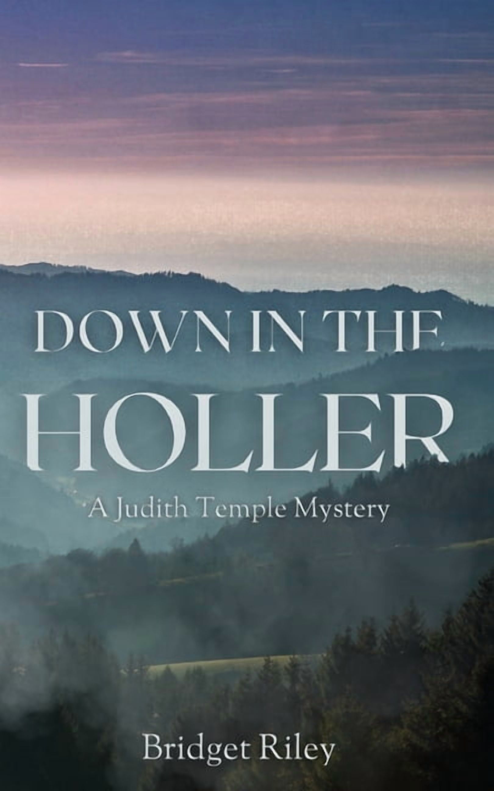 Down in the Holler: A Judith Temple Mystery, (Paperback) - Walmart ...