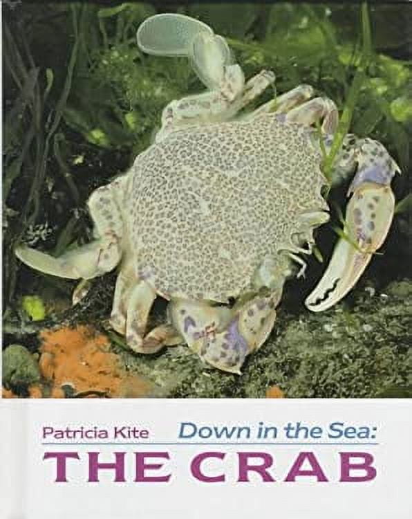 Pre-Owned Down in the Sea : The Crab 9780807517093 Used - Walmart.com