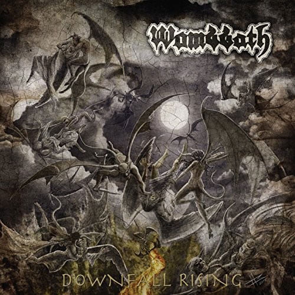 Downfall Rising (CD) - Walmart.com