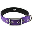 "Downtown Pet Supply Padded Adjustable Nylon Dog Collar, Purple, Large ...