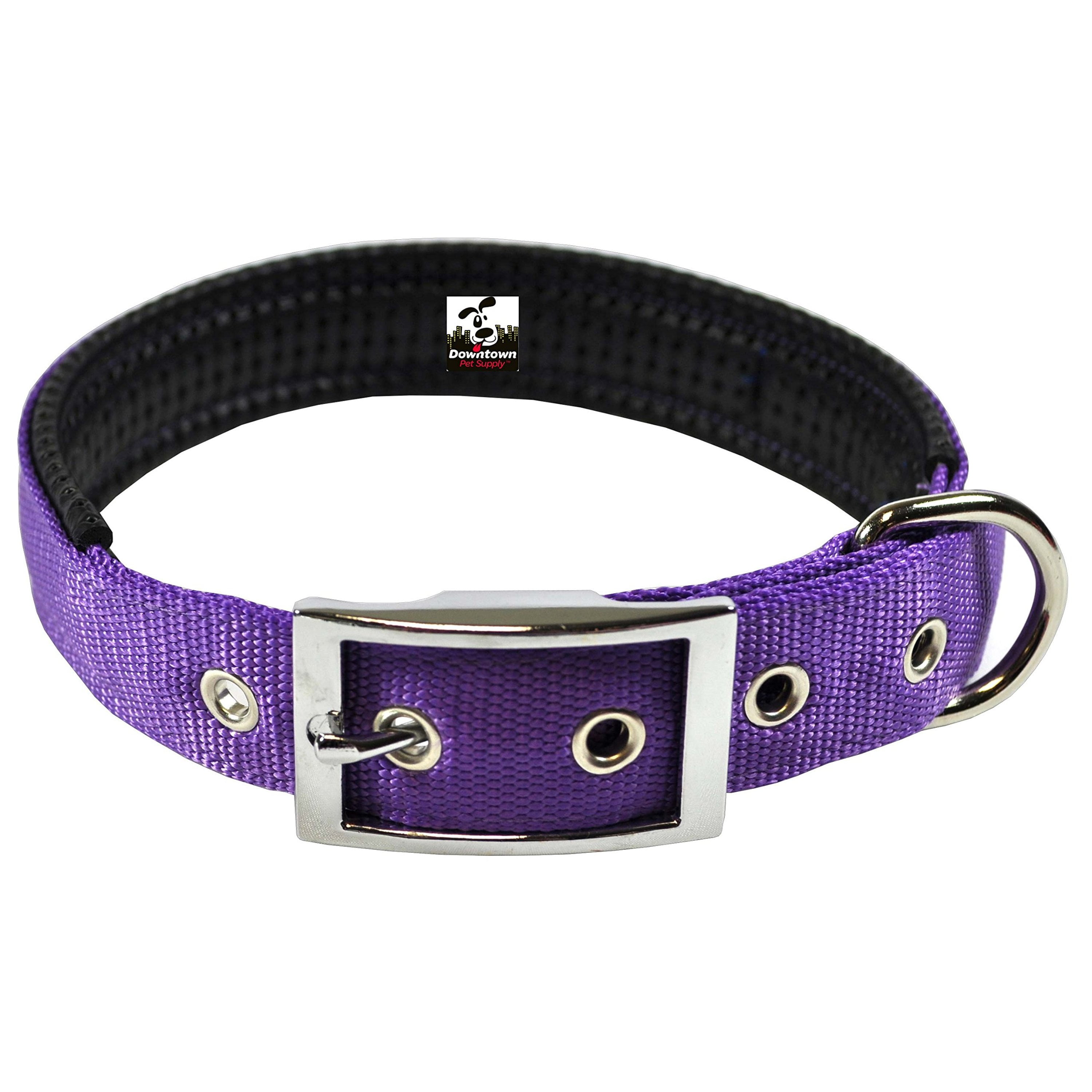 Downtown Pet Supply Dog Collars for Large Dogs Padded Dog Collar Purple ...