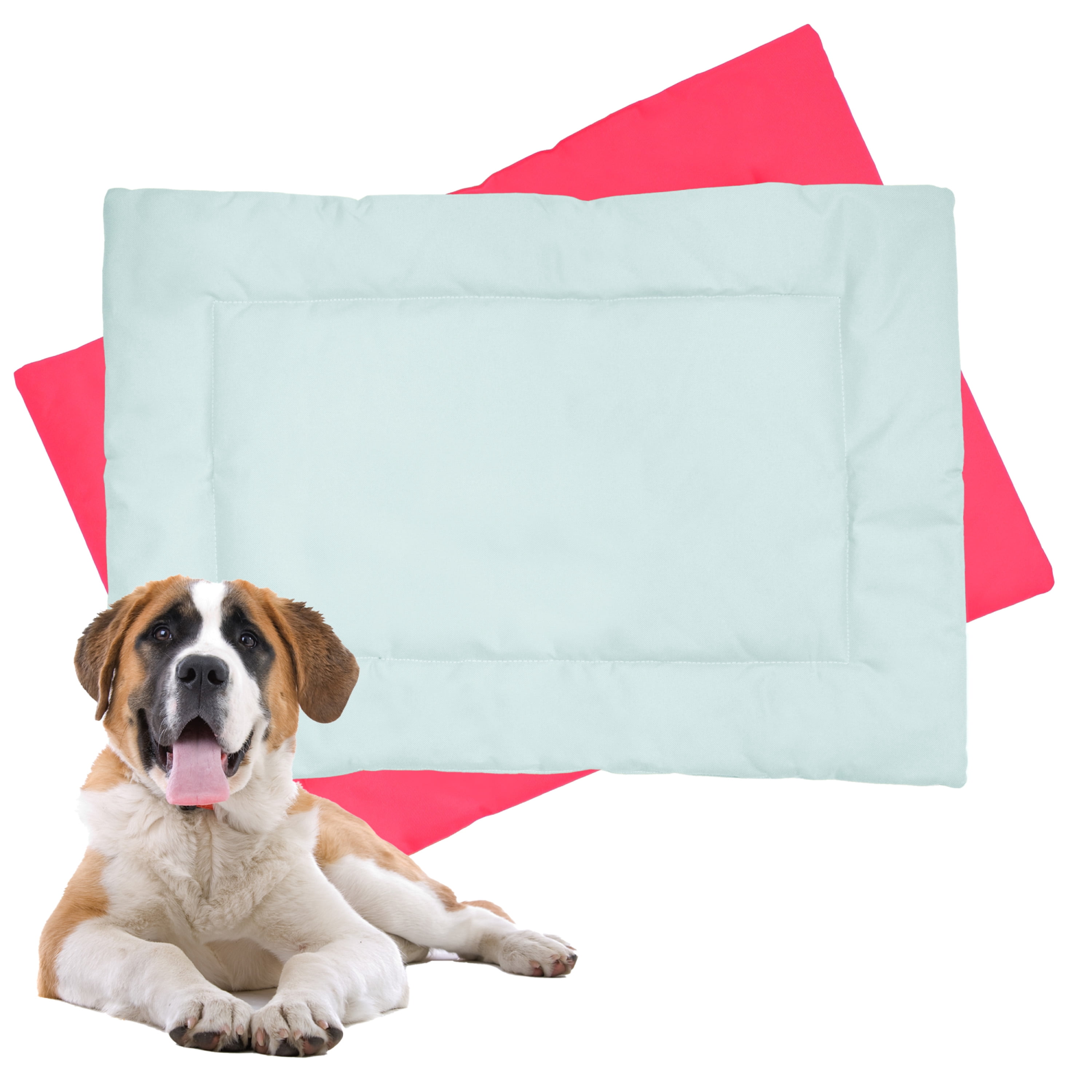 Downtown Pet Supply Dog Crate Mat, Waterproof Pet Bed, Light Blue/Pink ...