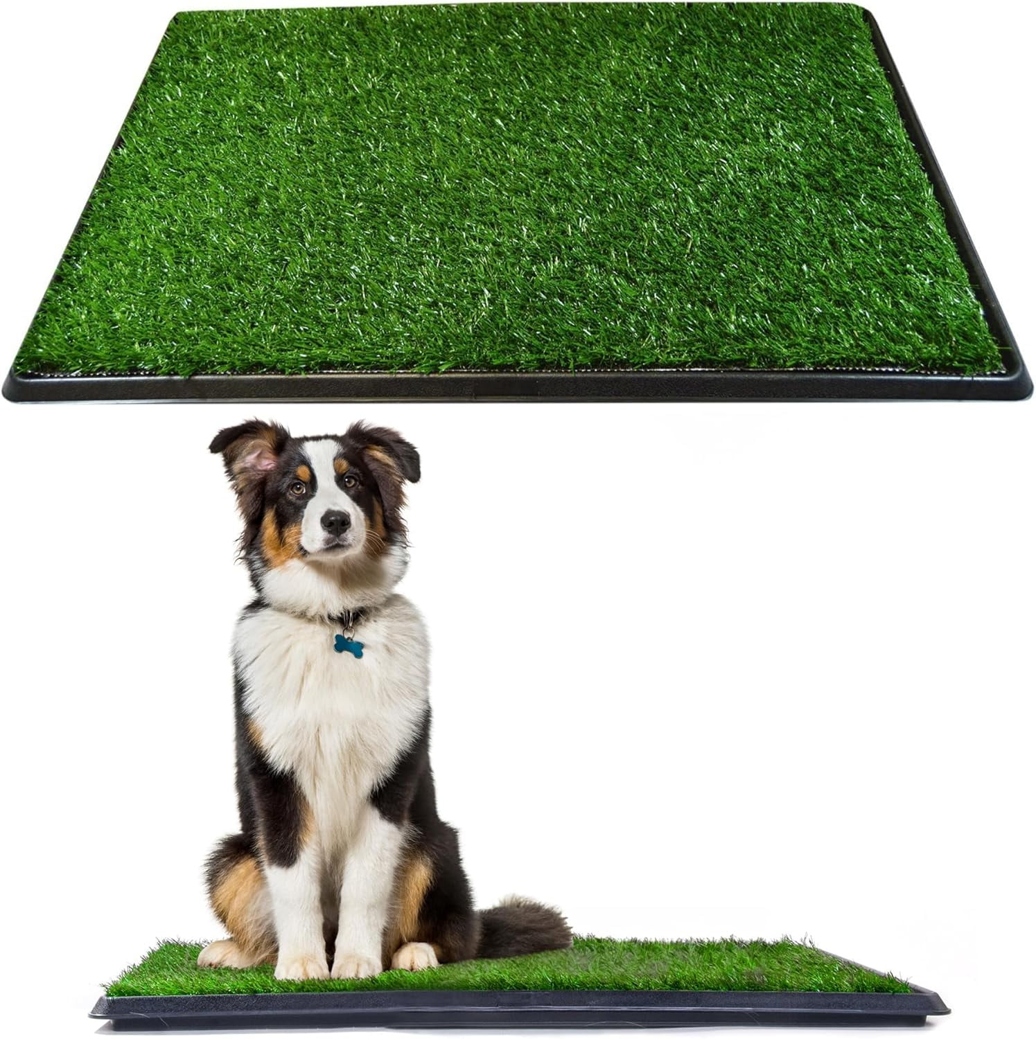 Downtown Pet Supply Dog Grass Pad with Tray, 20 x 25 - Outdoor and ...